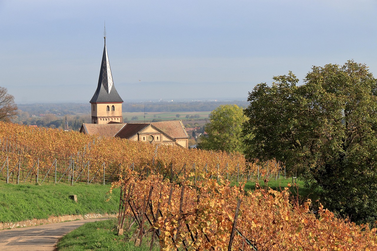 Alsace Wine Route, France travel guide · TravelCousin