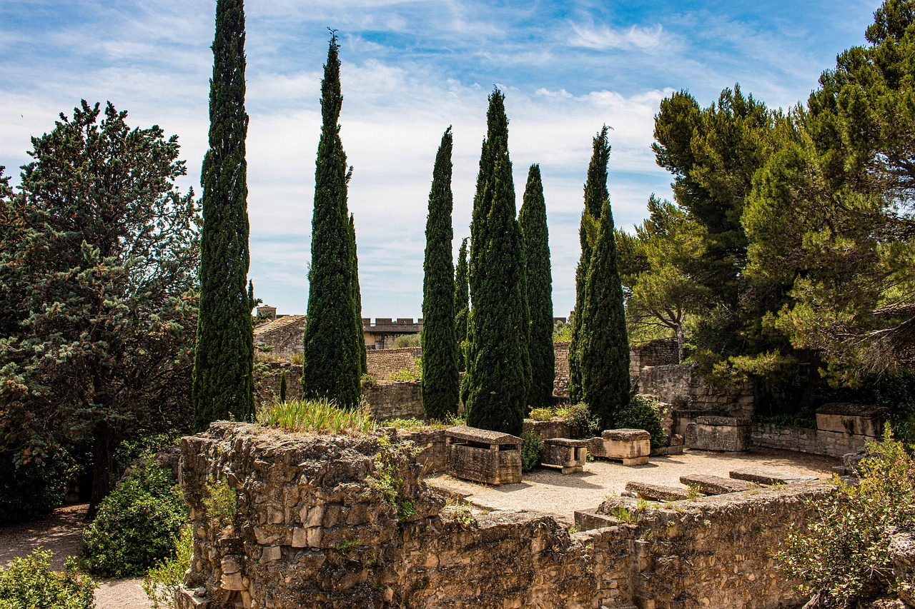 Avignon, France travel guide · TravelCousin