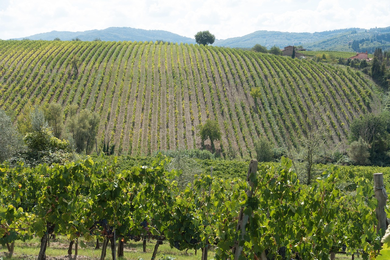 Tuscany, Italy travel guide · TravelCousin